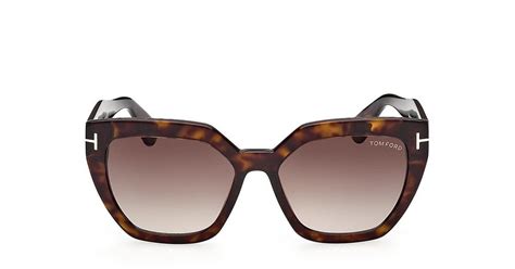 Tom Ford Phoebe 56mm Square Sunglasses In Brown Lyst