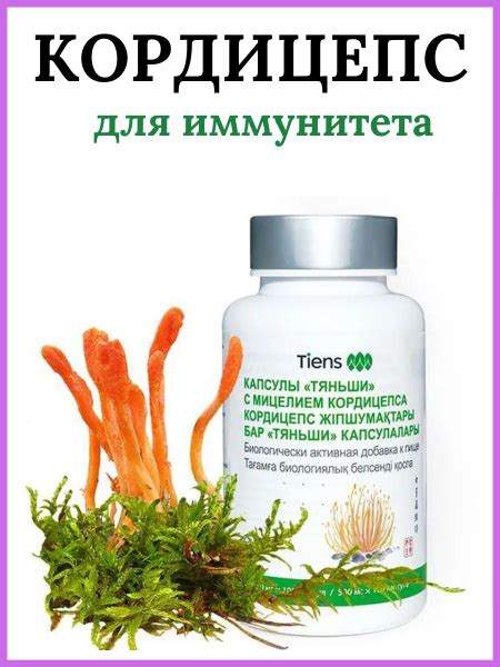 Кордицепс Тяньши Tiens Тиенс витамины для мужчин женщин иммунитета ...
