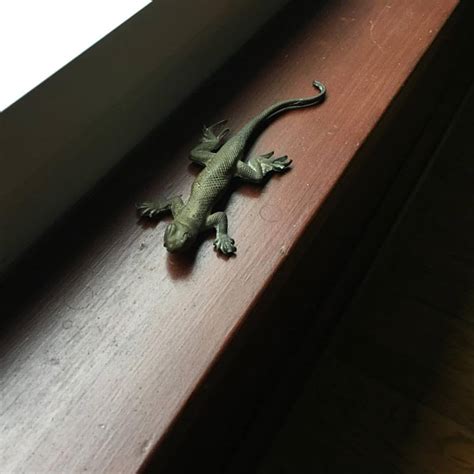 Scary Brass Lizards And Memories Of Fathers Days Past Buffalo Stories Archives And Blog