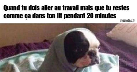 Quand Tu Dois Aller Au Travail Mais Blagues Et Les Meilleures