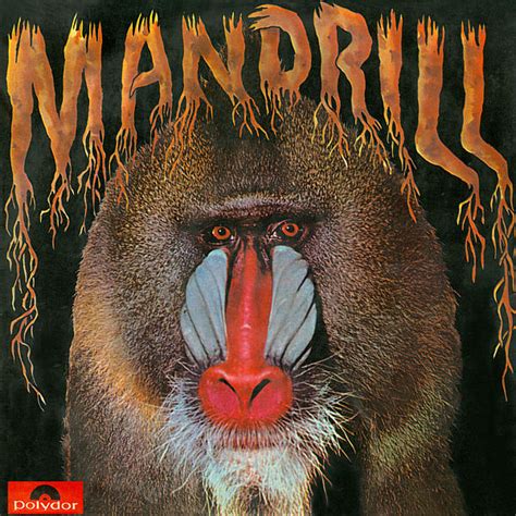 Mandrill Mandrill 1971 Vinyl Discogs