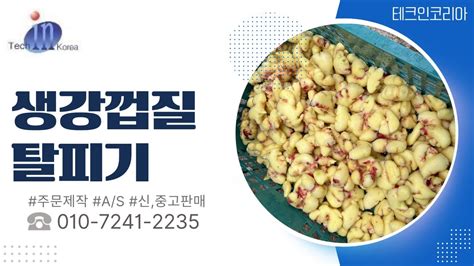 흙 잔뜩 묻은 생강 세척 및 껍질 탈피 기계 Youtube
