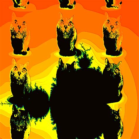 Mandelbrot Tag Primo
