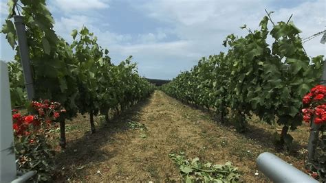 new agricultural multi month dataset with overlapping paths for mapping