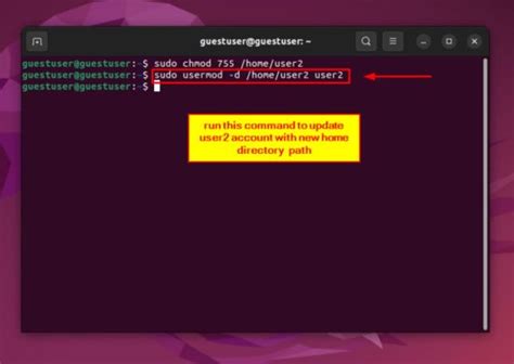 How To Create Home Directory For User Linux 10 Easy Steps