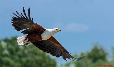 Iitm Tech Talk Contributing To A Better World Iitm Tech Talk Contributing To A Better World