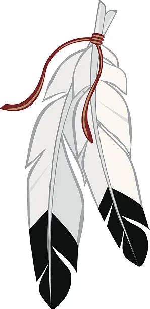 Free Eagle Feather Clipart Images Freeimages