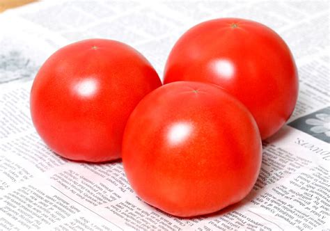 【楽天市場】麗旬 大玉トマト種子 1000粒【トマト種】【サカタのタネ】【野菜の種】【王様トマト】：吉谷農芸 楽天市場店