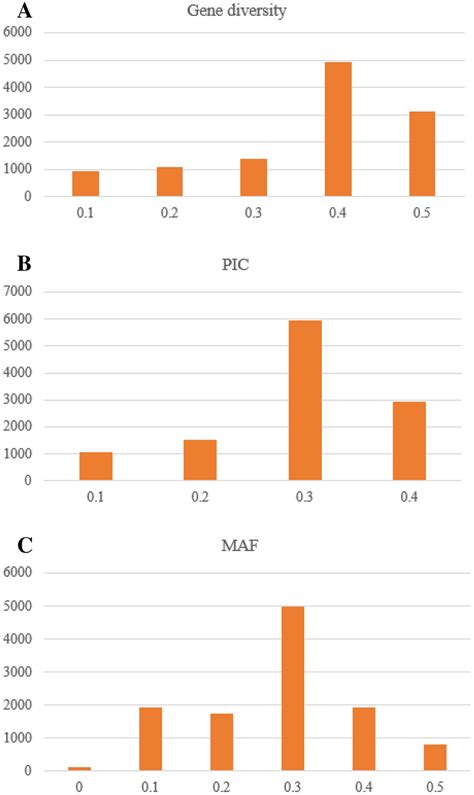 Frequency Distribution Of Genetic Diversity Polymorphic Information