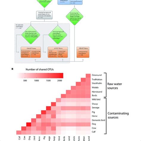 A Overview Of How The Three Microbial Source Tracking Mst Library Download Scientific