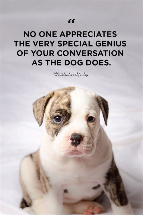Cute Puppy Pictures With Sayings