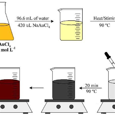 Schematic Diagram Showing The Steps For Gold Nanoparticles Aunp