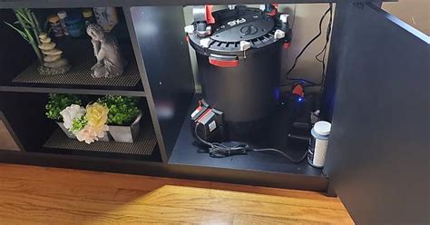 My 125 Gallon African Cichlid Tank Running 2 Fluval Fx6 And Inline