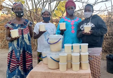 New Guide For Developing Tree Based Value Chains Regreening Africa