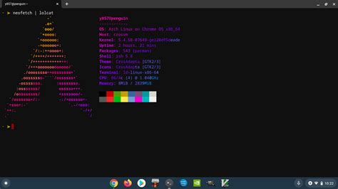 i use arch btw on chrome os r linuxmasterrace