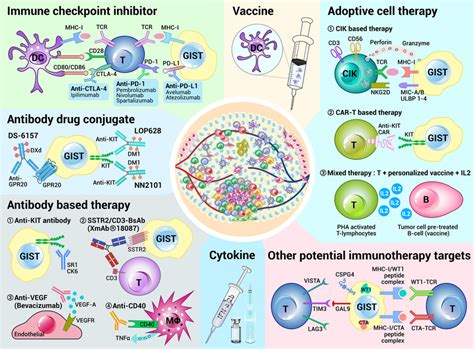 Immunotherapy Strategies Reported For Gist In Literatures The Mostly