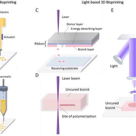 3d Bioprinting Methods A B Nozzle Based Methods A Inkjet Printing