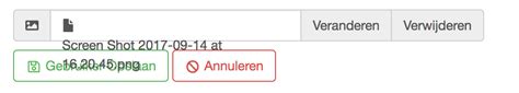 Javascript Limit The Length Of Text Shown In The Html File Input