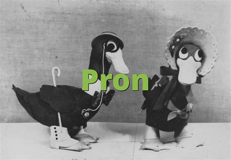Pron Meaning