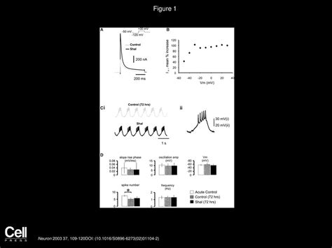 Activity Independent Homeostasis In Rhythmically Active Neurons Ppt Download