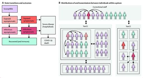 Prison Microsimulation Model Diagram A Possible State Transitions And Download Scientific