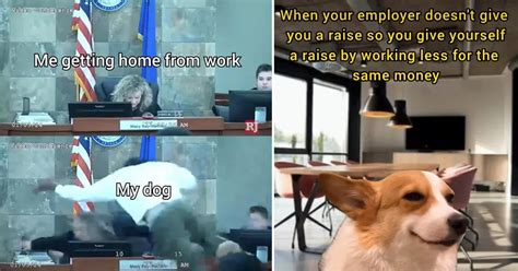T 20 Friday Work Memes To Send You Into The Weekend Funny Gallery