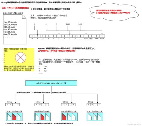 Doris索引 Csdn博客
