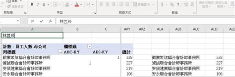 林昱辰商業套裝軟體pivot table樞紐分析表