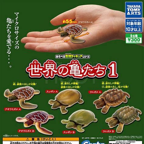 Turtles Of The World Playable Creature Figure Piggygaga