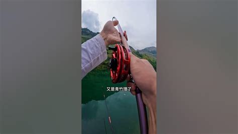 青竹鲤吃鱼生怎么样？一定要看到最后，不会让大家失望的！独乐乐不如众乐乐！原来钓鱼才是抖音运动顶流 2024dou来钓鱼 青竹鲤 中逵小师达 安哥拉红带火了中逵 Youtube