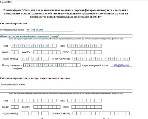 Раздел 1 формы ЕФС 1 как заполнить сведения о стаже в 2025 году