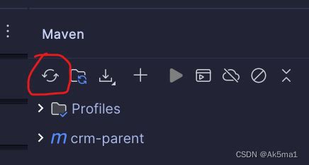 IDEA Maven 项目无法识别Resources目录已解决 IDEA不能读取配置文件springboot配置文件无效IDEA