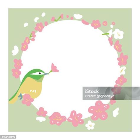 사쿠라 꽃과 흰 눈 그림 소재가 원 안에 드리워져 있습니다 0명에 대한 스톡 벡터 아트 및 기타 이미지 0명 Hanami 녹색 Istock