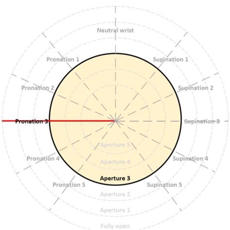 The Visual Feedback Used During Feedback Training Closed Loop Control Download Scientific
