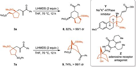 Down Stream Transformations Fused Ring Compound 8 And Bridged Ring Download Scientific Diagram