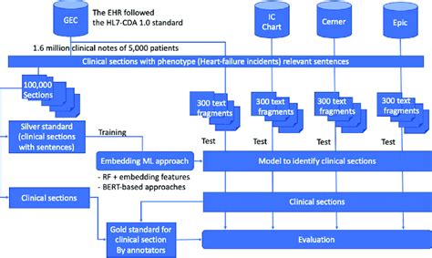 The Overview Of Assessing Heterogeneity Of Clinical Sections Across