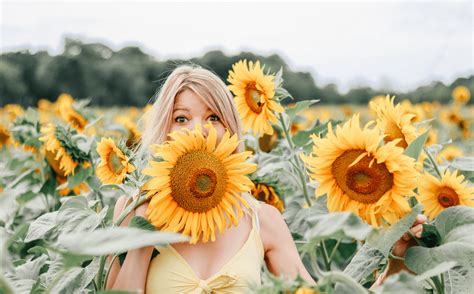 Polly Sunshine Telegraph