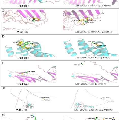 Simulated Three Dimensional Crystal Structures Of Proteins Predicted Download Scientific