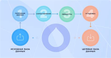 Как обновить Drupal 7 и 8 до Drupal 10 Пошаговая инструкция