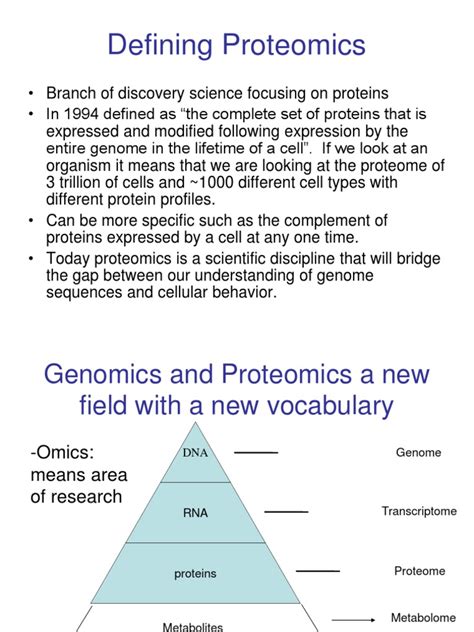 Proteomics Introductionppt Proteomics Bioinformatics