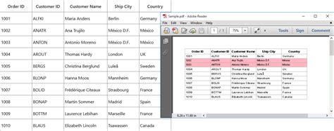 Export To PDF In UWP DataGrid Control Syncfusion