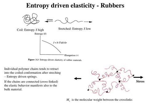 Ppt Chapter 9 Cross Linked Polymers And Rubber Elasticity Powerpoint