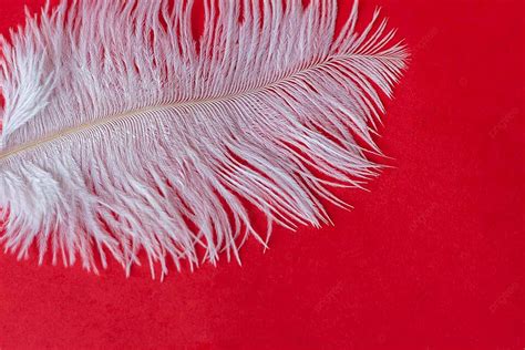 Red Fn Background Images HD Pictures And Wallpaper For Free Download Pngtree