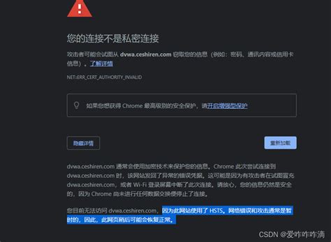 安全测试burpsuite 抓包篡改数据burpsuite抓包修改参数 Csdn博客