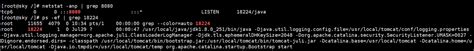 linux 查看已安装软件 linux 查找 已安装程序 csdn博客