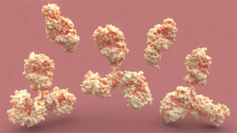 Antibody 3d Models Sketchfab