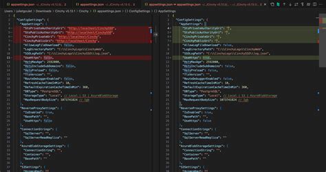 V Iis Cinchy Documentation