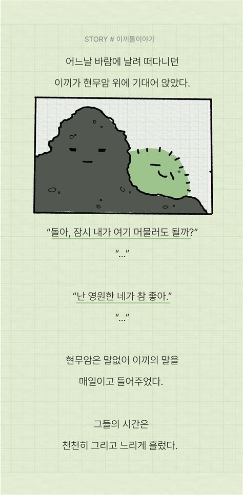 이끼 테라리움 반려돌 이끼돌 비단이끼 현무암 반려식물 식물