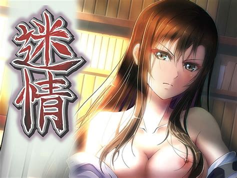 アニメ迷情シリーズ2024年最新成人向けFANZA同人