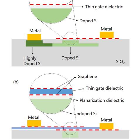 Schematic Cross Section Of Slg On Doped Si Waveguide Modulator A Download Scientific